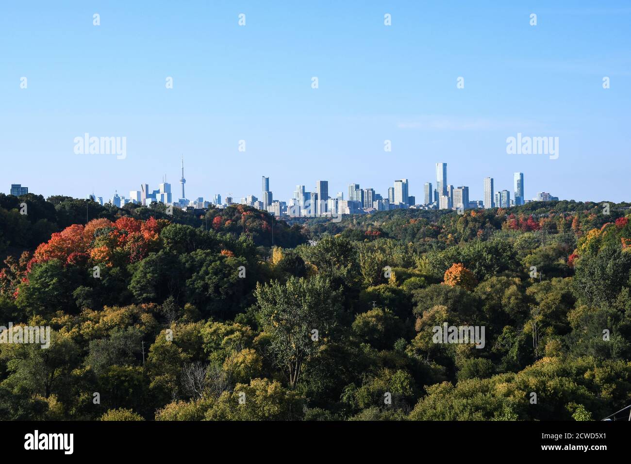 Toronto Skyline in Fall Stock Photo - Alamy