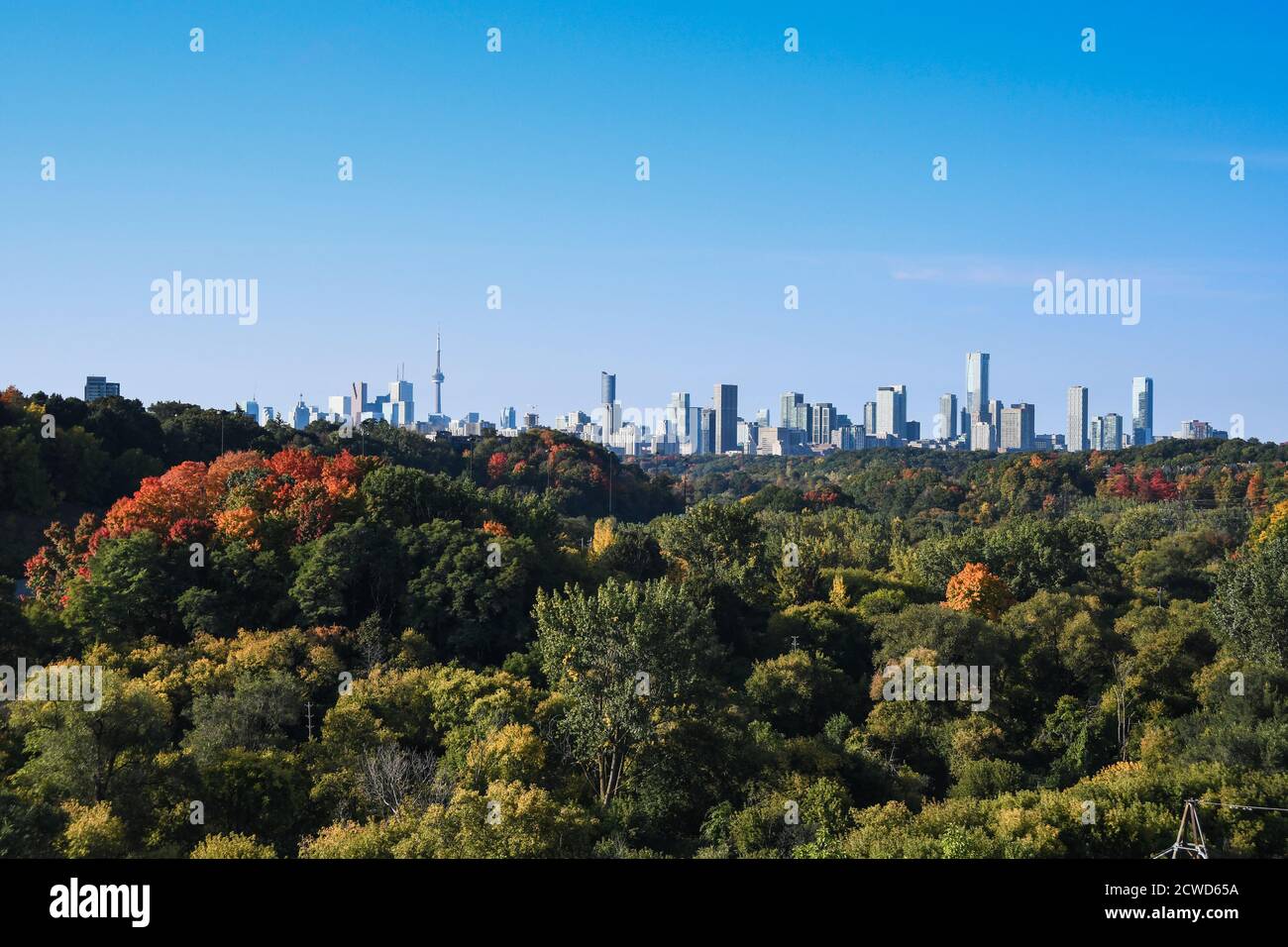 Toronto Skyline in Fall Stock Photo - Alamy