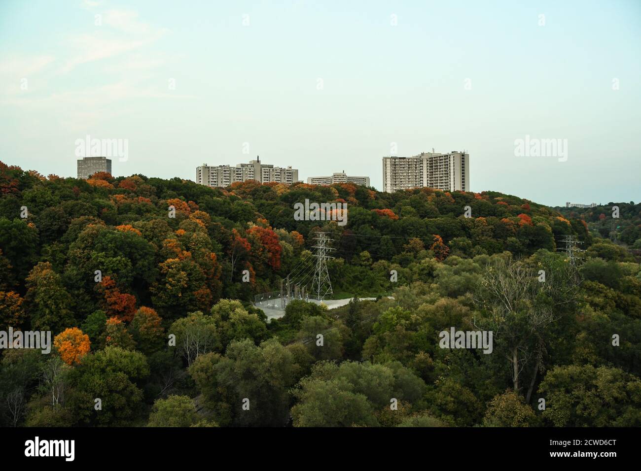 Toronto Skyline in Fall Stock Photo - Alamy
