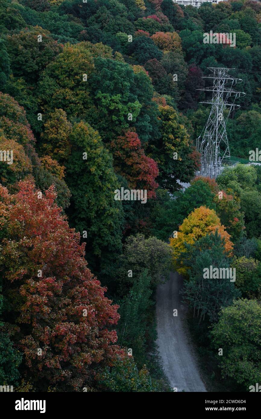 Toronto Skyline in Fall Stock Photo - Alamy