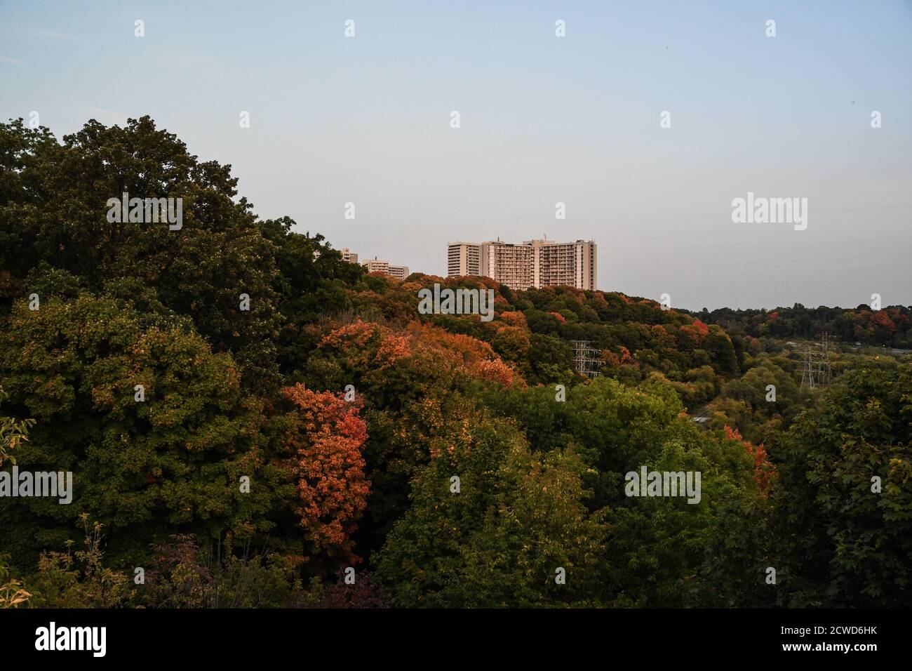 Toronto Skyline in Fall Stock Photo - Alamy