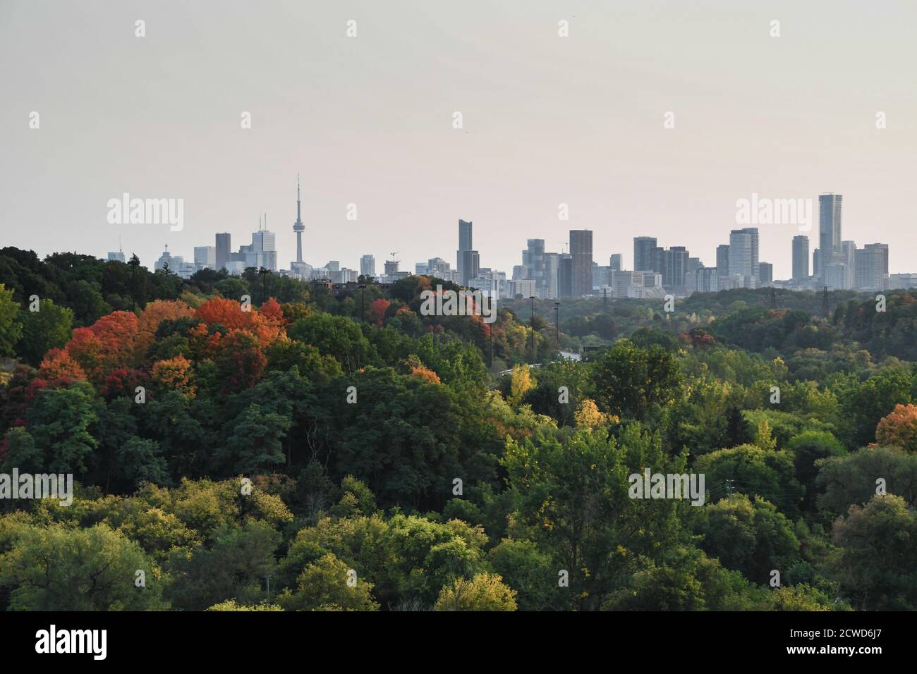 Toronto Skyline in Fall Stock Photo - Alamy