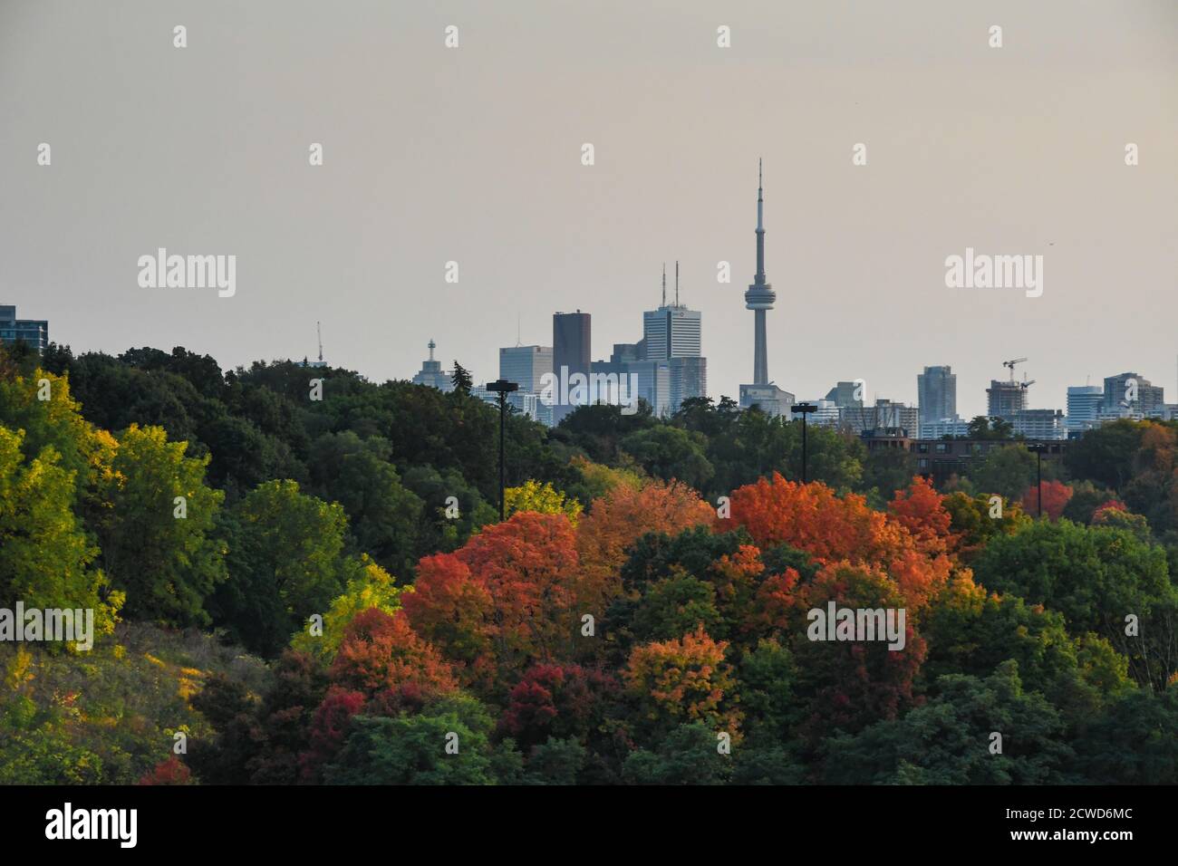Toronto Skyline in Fall Stock Photo - Alamy