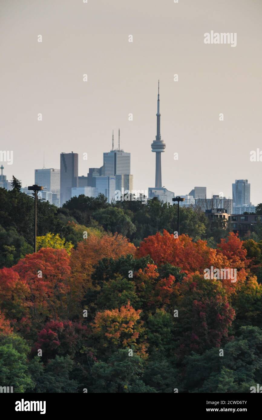 Toronto Skyline in Fall Stock Photo - Alamy