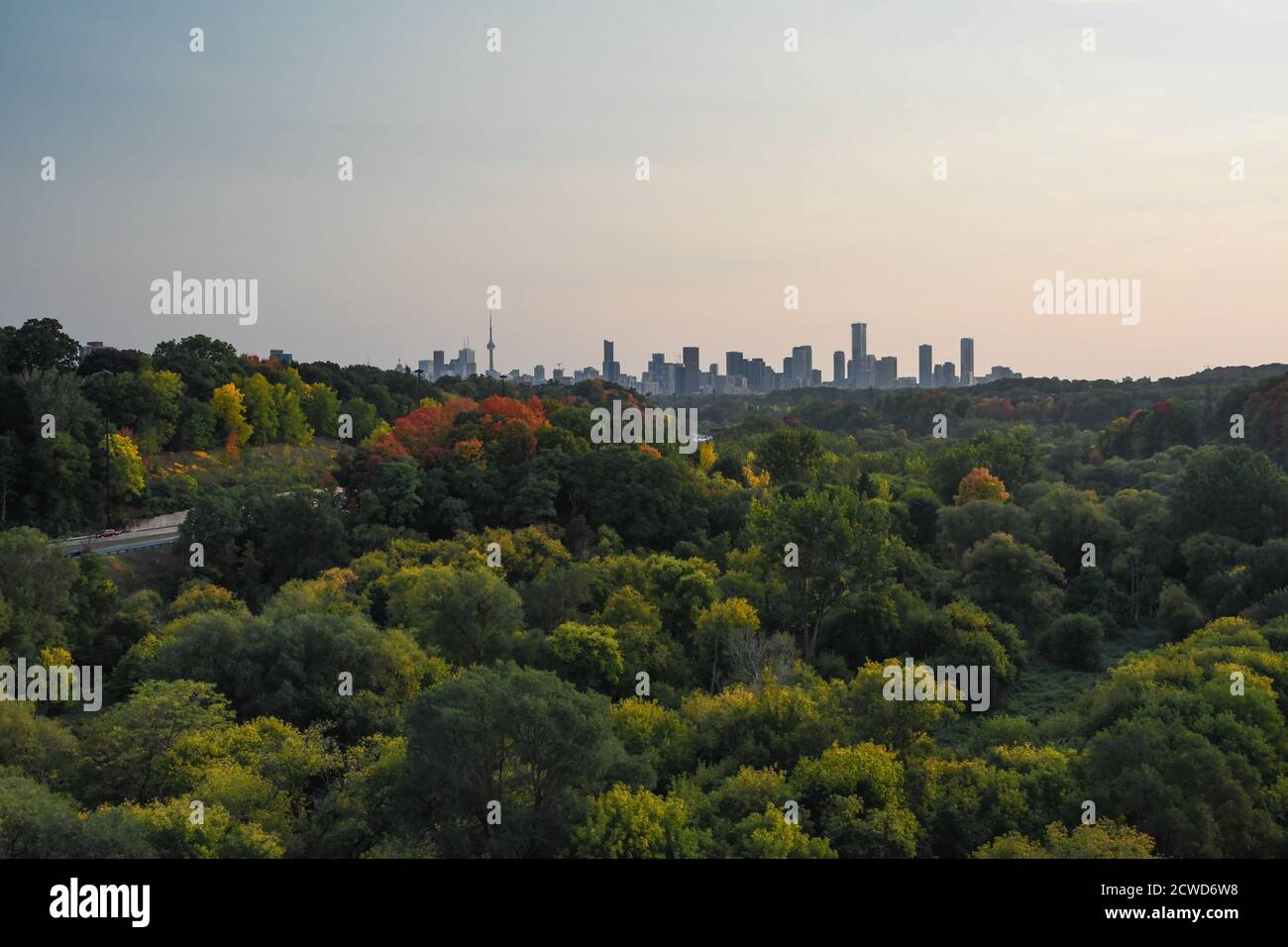Toronto Skyline in Fall Stock Photo - Alamy