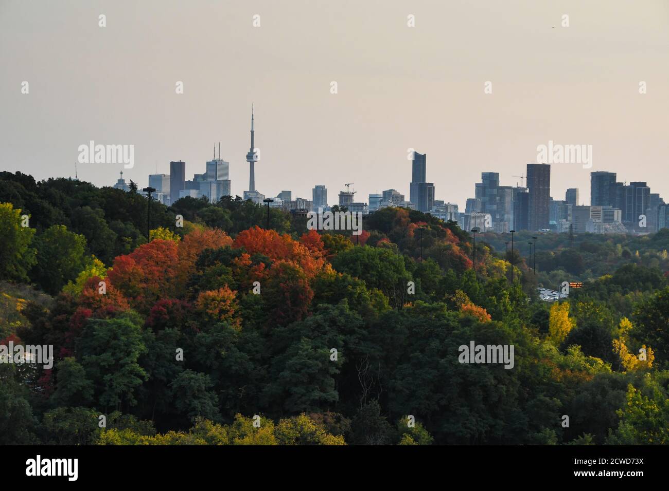 Toronto Skyline in Fall Stock Photo - Alamy