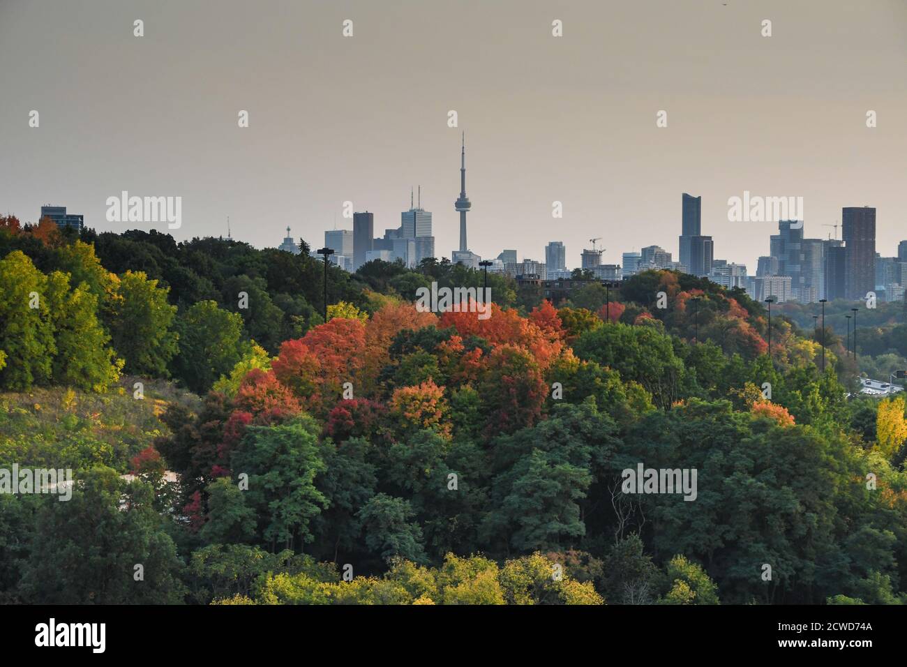Toronto Skyline in Fall Stock Photo - Alamy