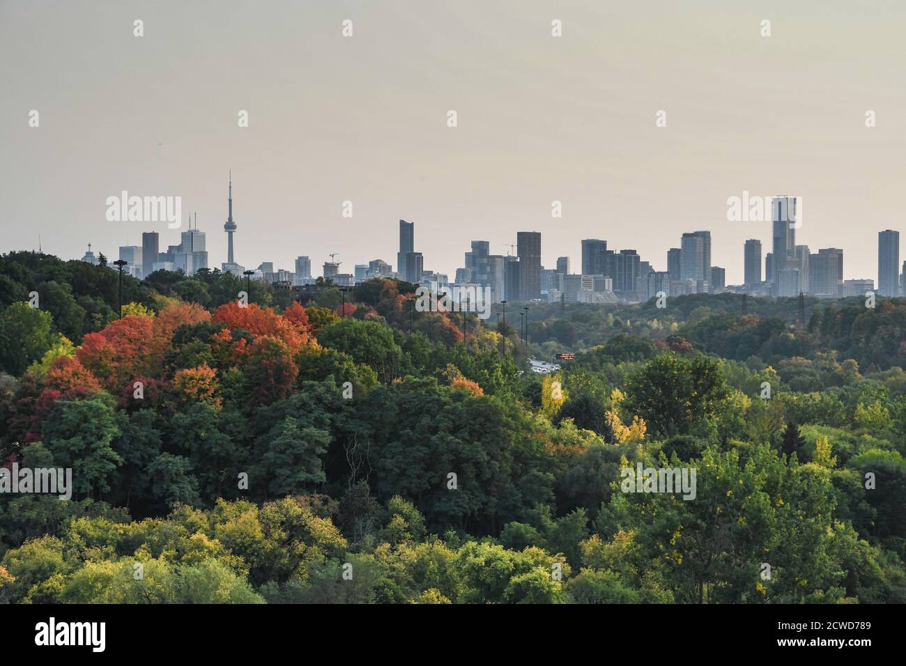 Toronto Skyline in Fall Stock Photo - Alamy
