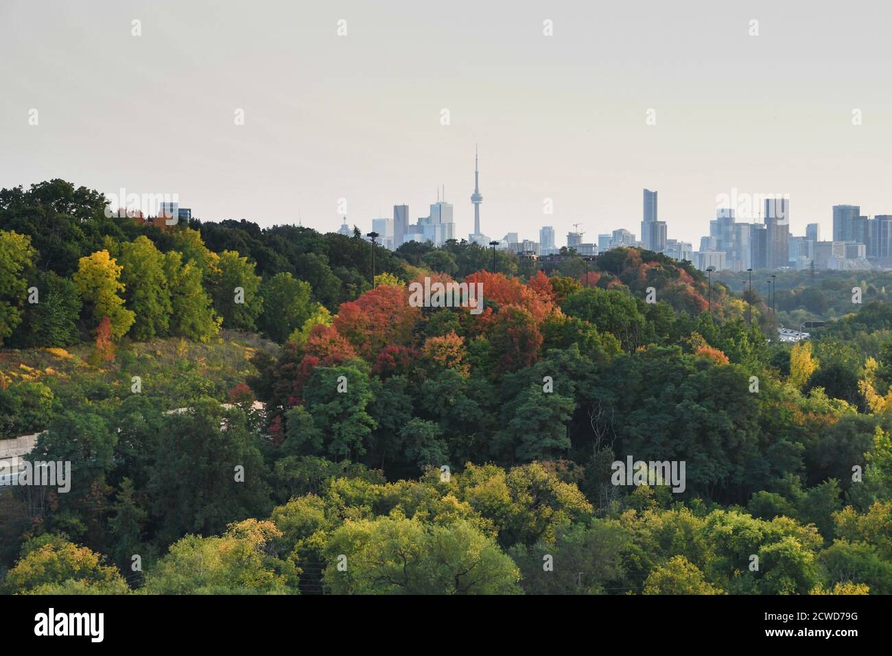 Toronto Skyline in Fall Stock Photo - Alamy