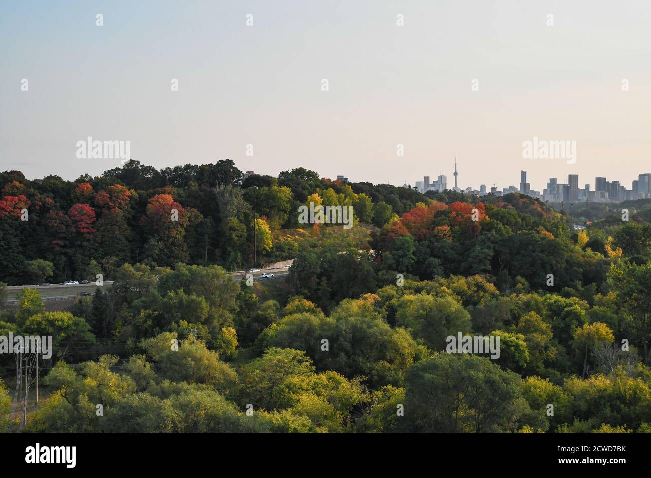 Toronto Skyline in Fall Stock Photo - Alamy