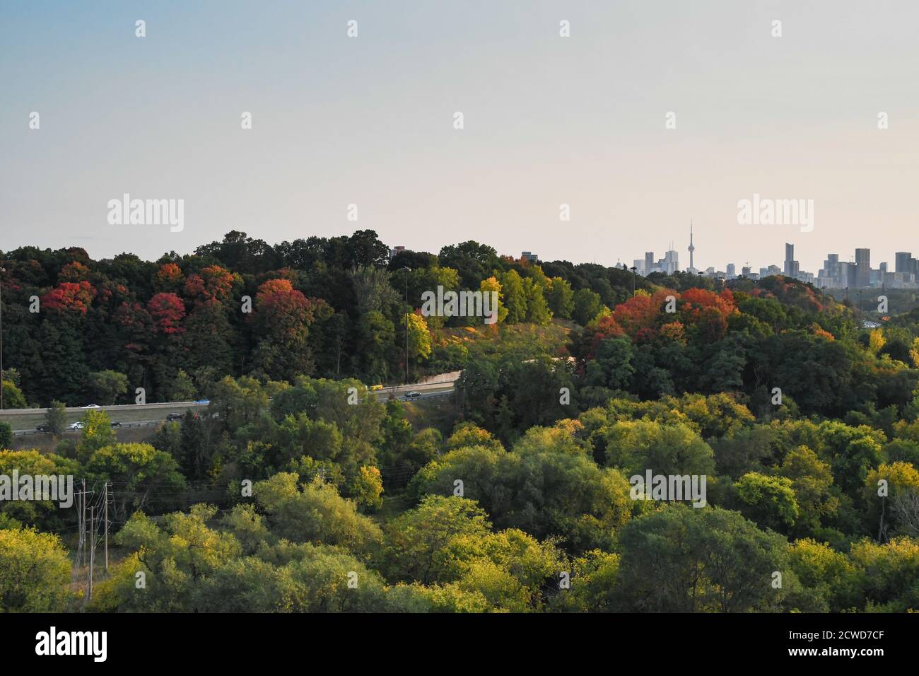 Toronto Skyline in Fall Stock Photo - Alamy