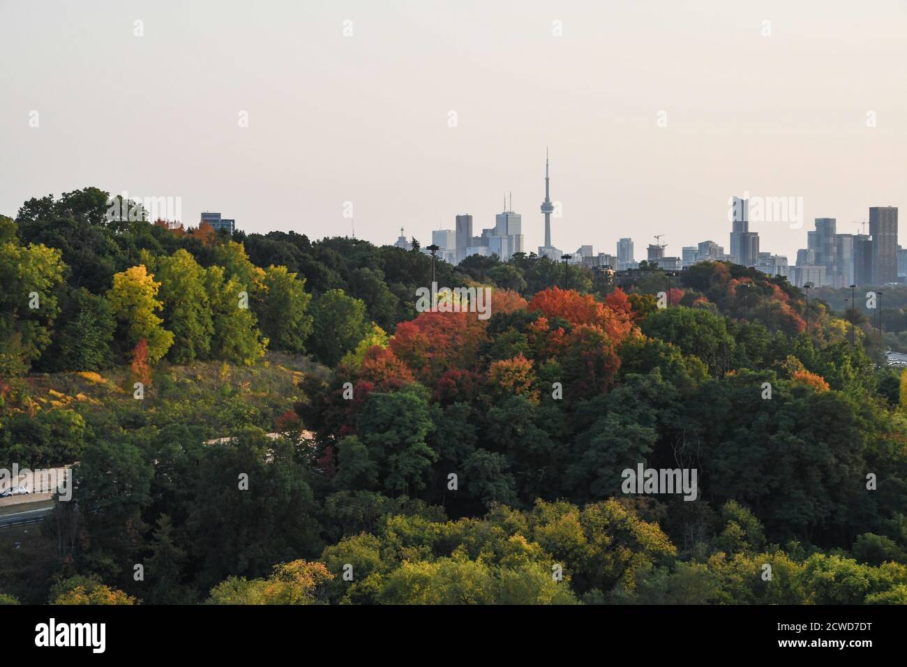 Toronto Skyline in Fall Stock Photo - Alamy