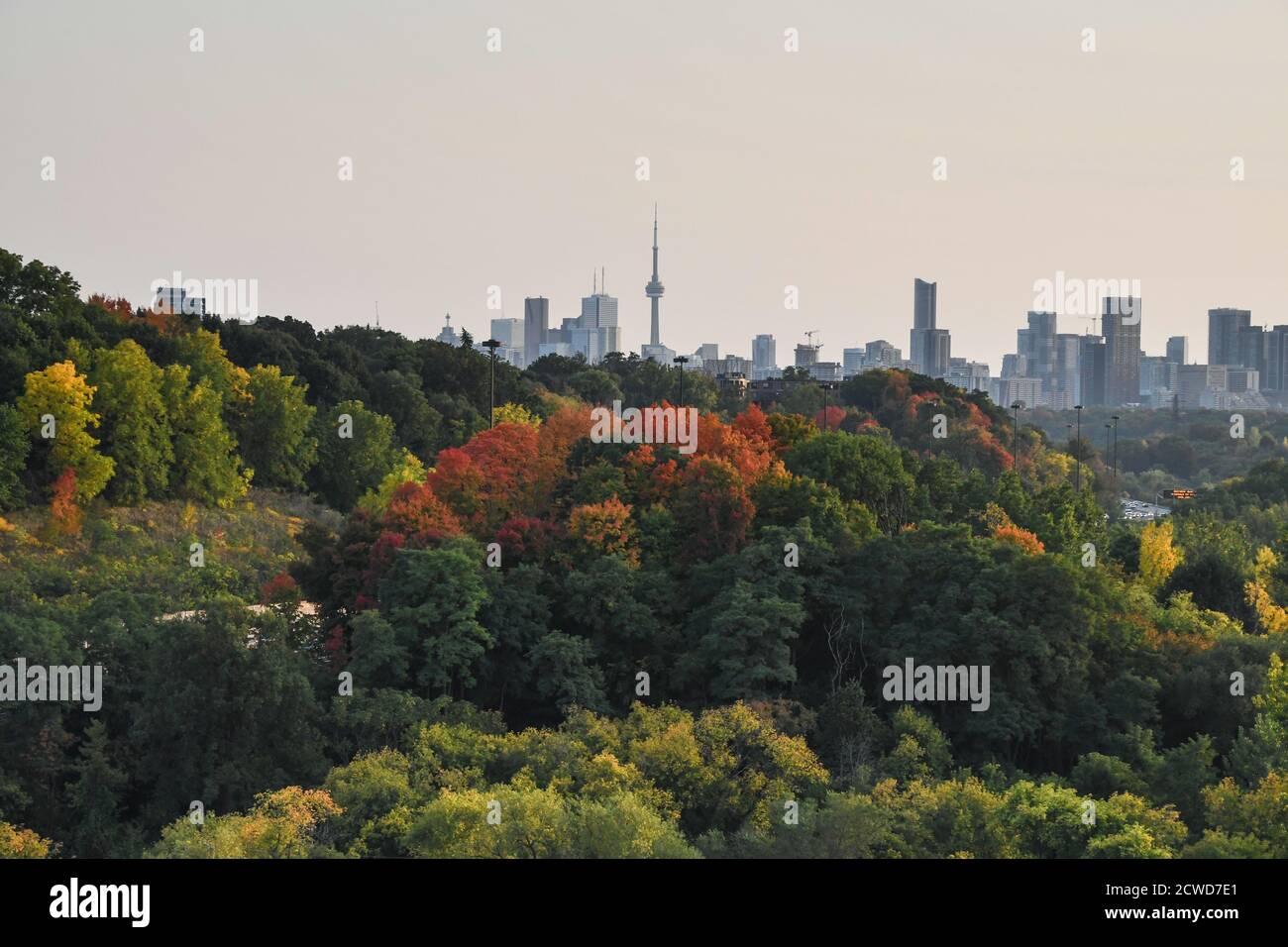Toronto Skyline in Fall Stock Photo - Alamy