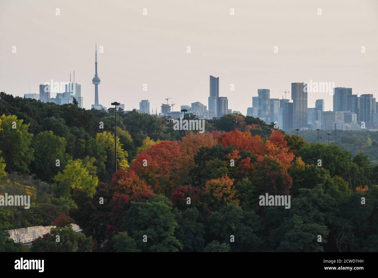 Toronto Skyline in Fall Stock Photo - Alamy
