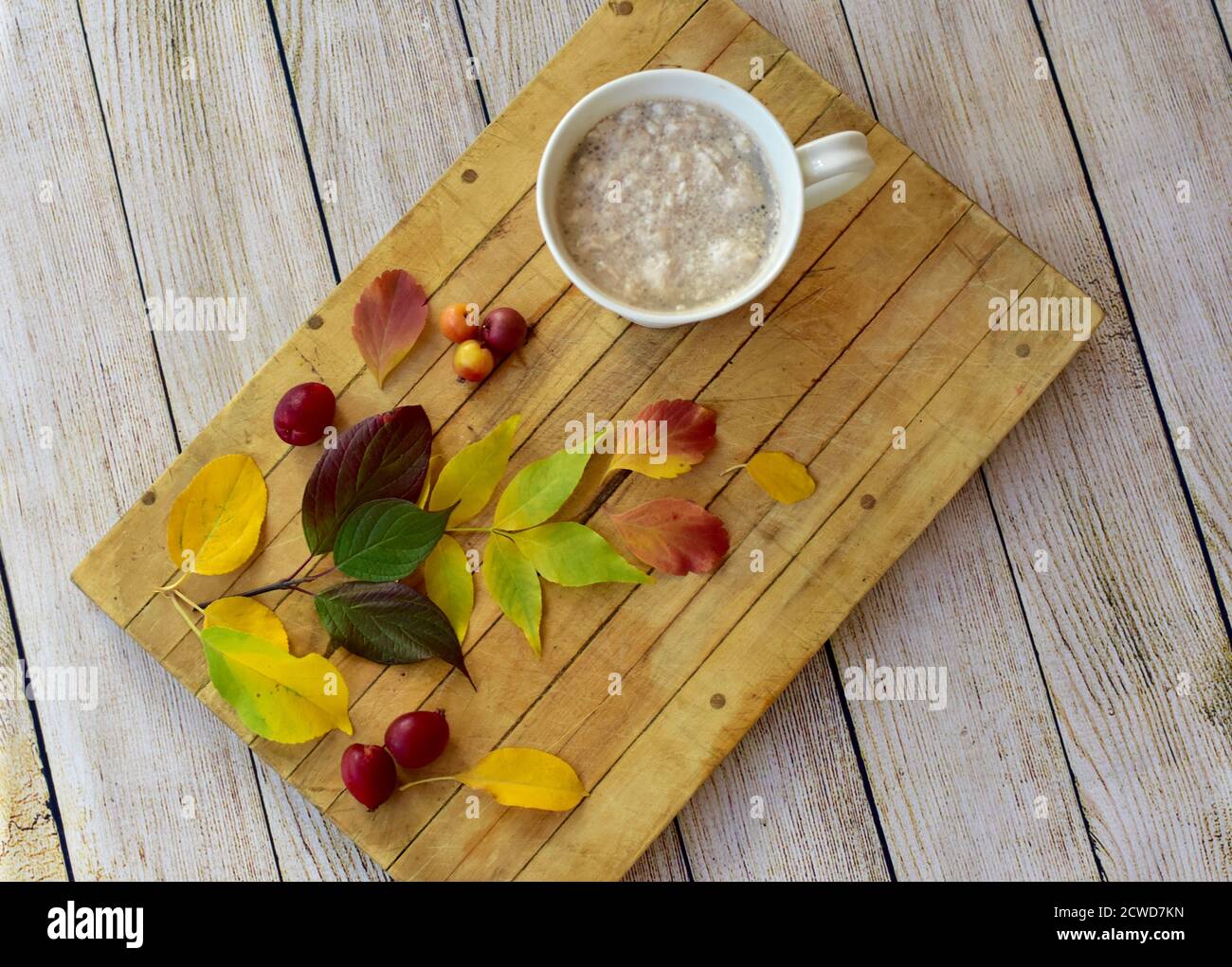Colourful fall leaves arranged in textured pattern for autumnal season ...
