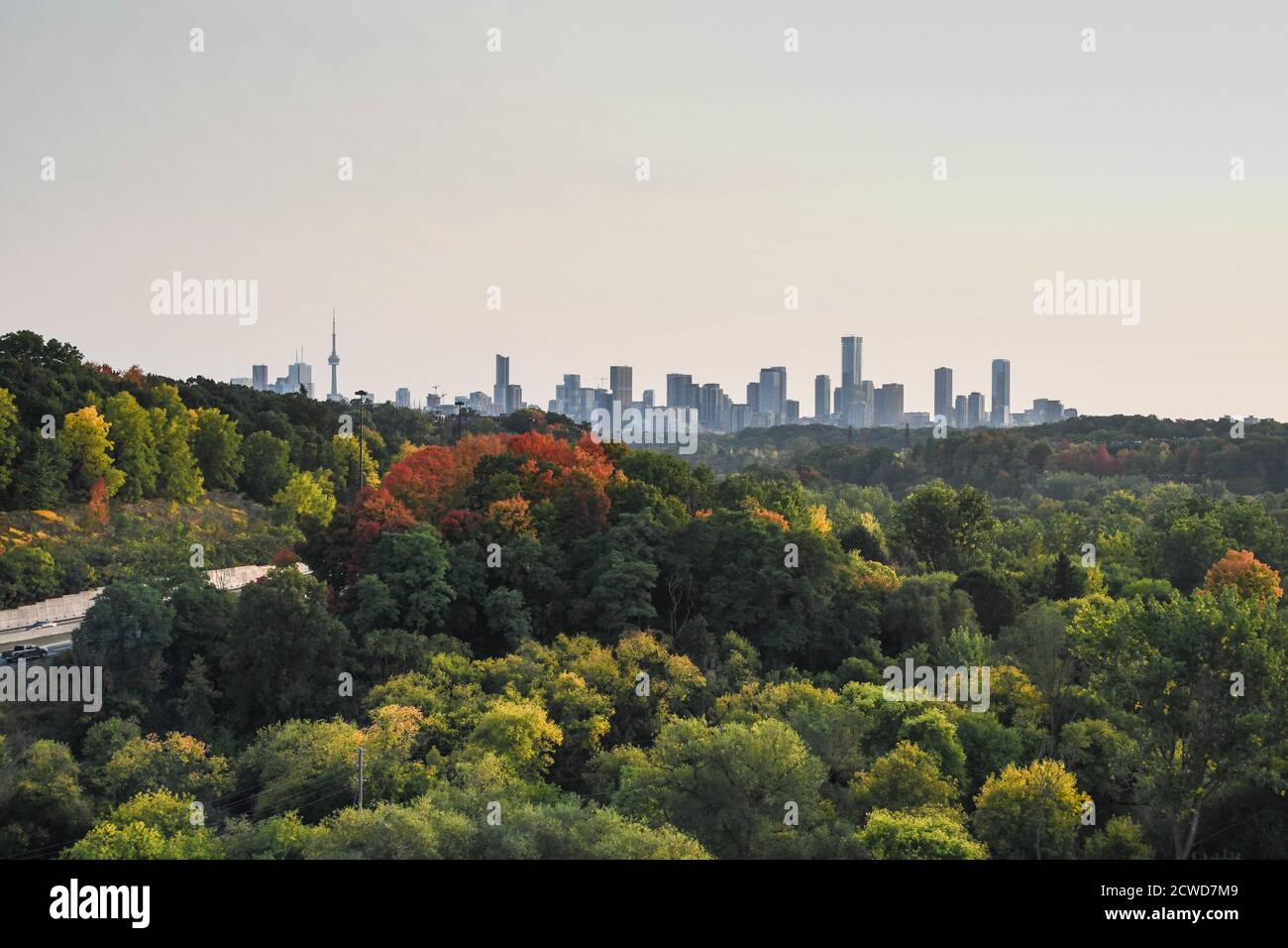 Toronto Skyline in Fall Stock Photo - Alamy