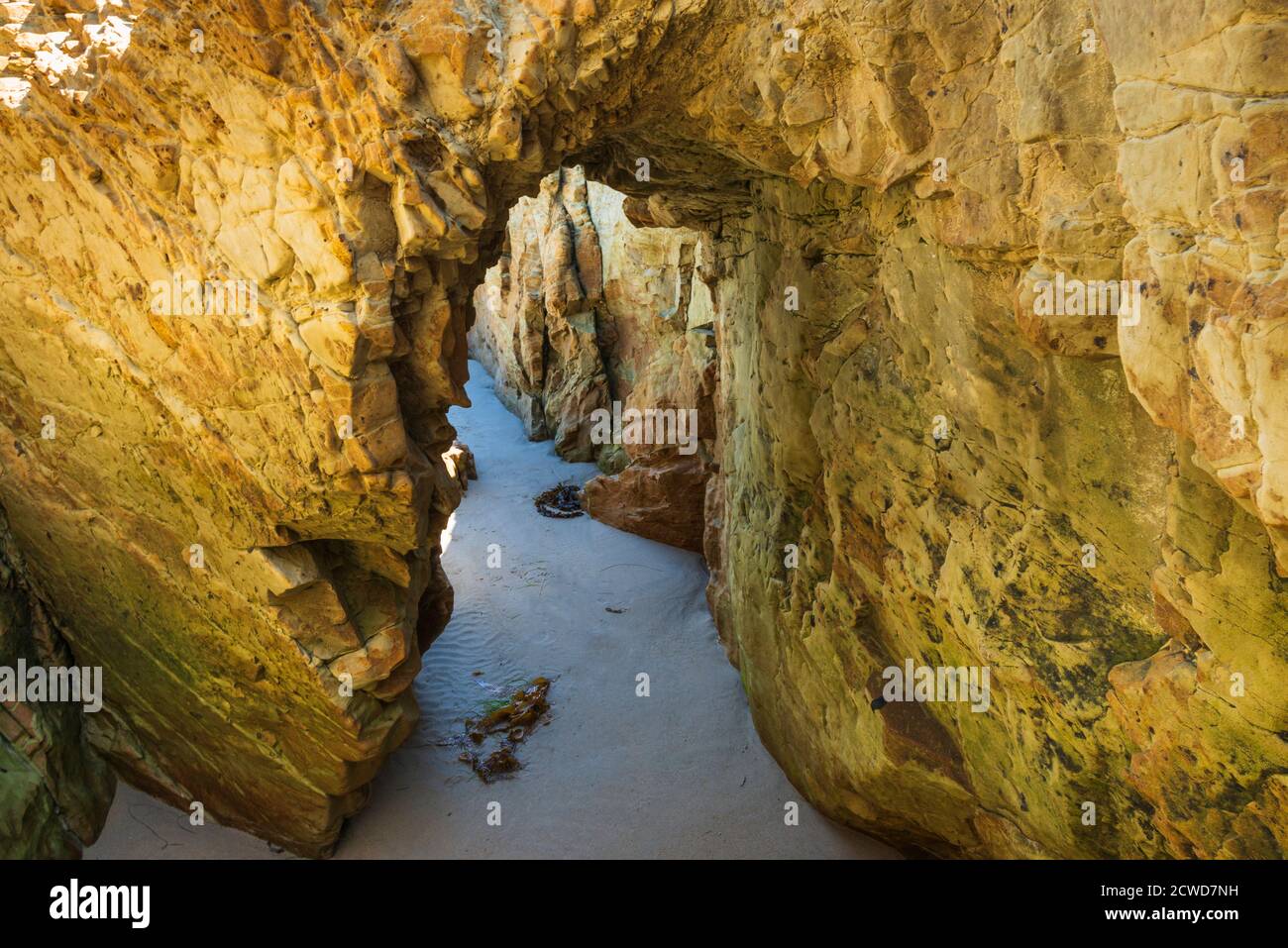Natural arch on Skunk Point Beach, Santa Rosa Island, Channel Islands ...