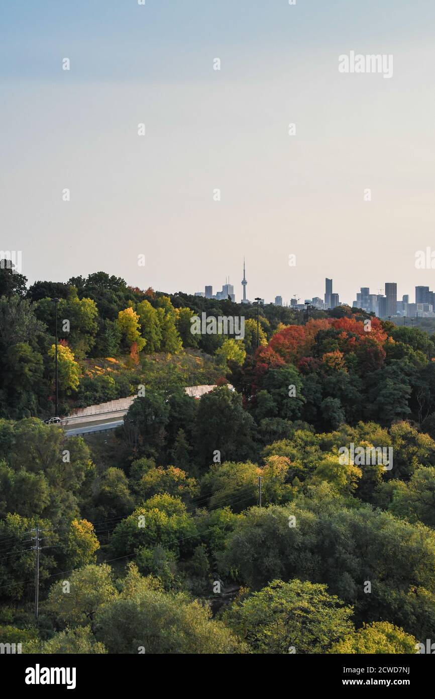 Toronto Skyline in Fall Stock Photo - Alamy