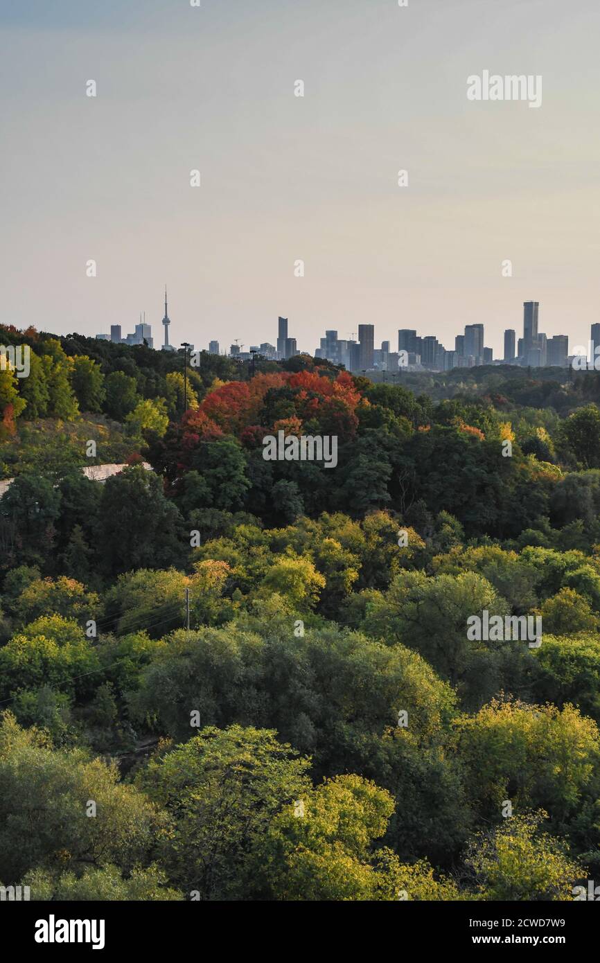 Toronto Skyline in Fall Stock Photo - Alamy