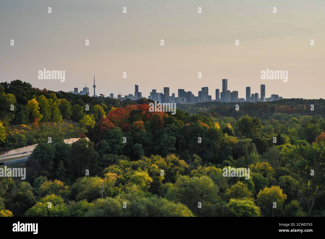 Toronto Skyline in Fall Stock Photo - Alamy