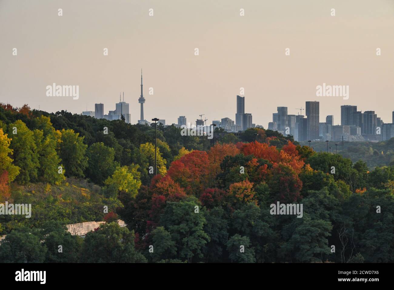 Toronto Skyline in Fall Stock Photo - Alamy