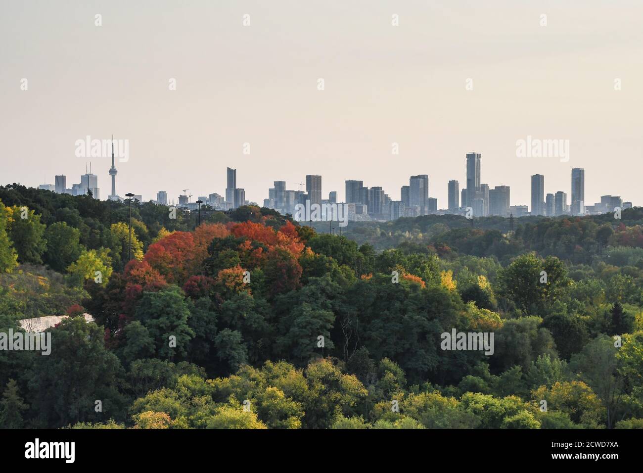 Toronto Skyline in Fall Stock Photo - Alamy