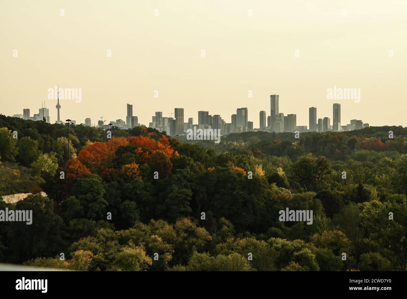 Toronto Skyline in Fall Stock Photo - Alamy