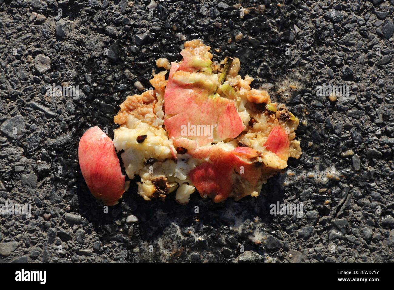 A juicy red apple has been squashed by the wheel of a road vehicle ...