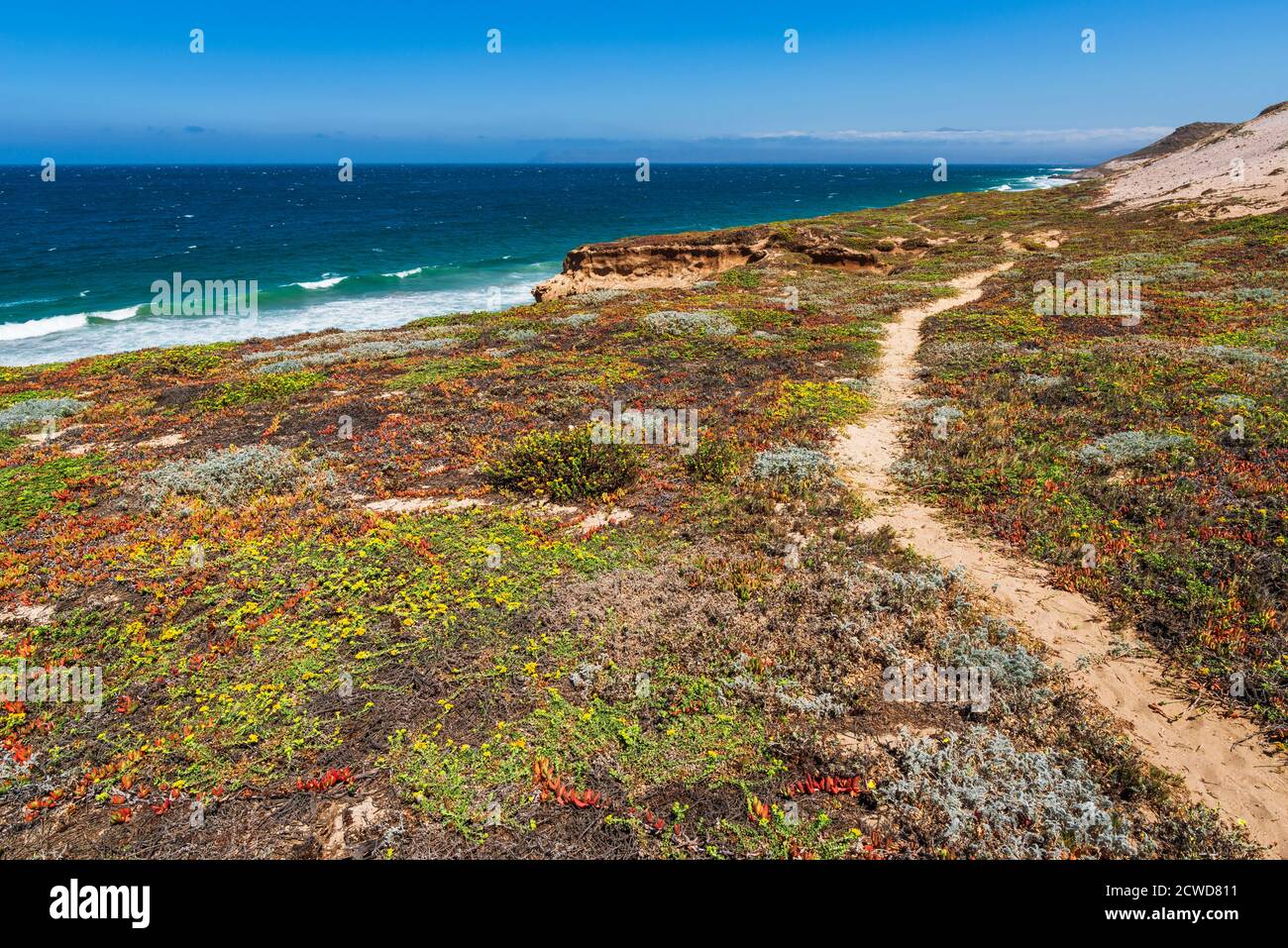 Skunk Point trail, Santa Rosa Island, Channel Islands National Park ...