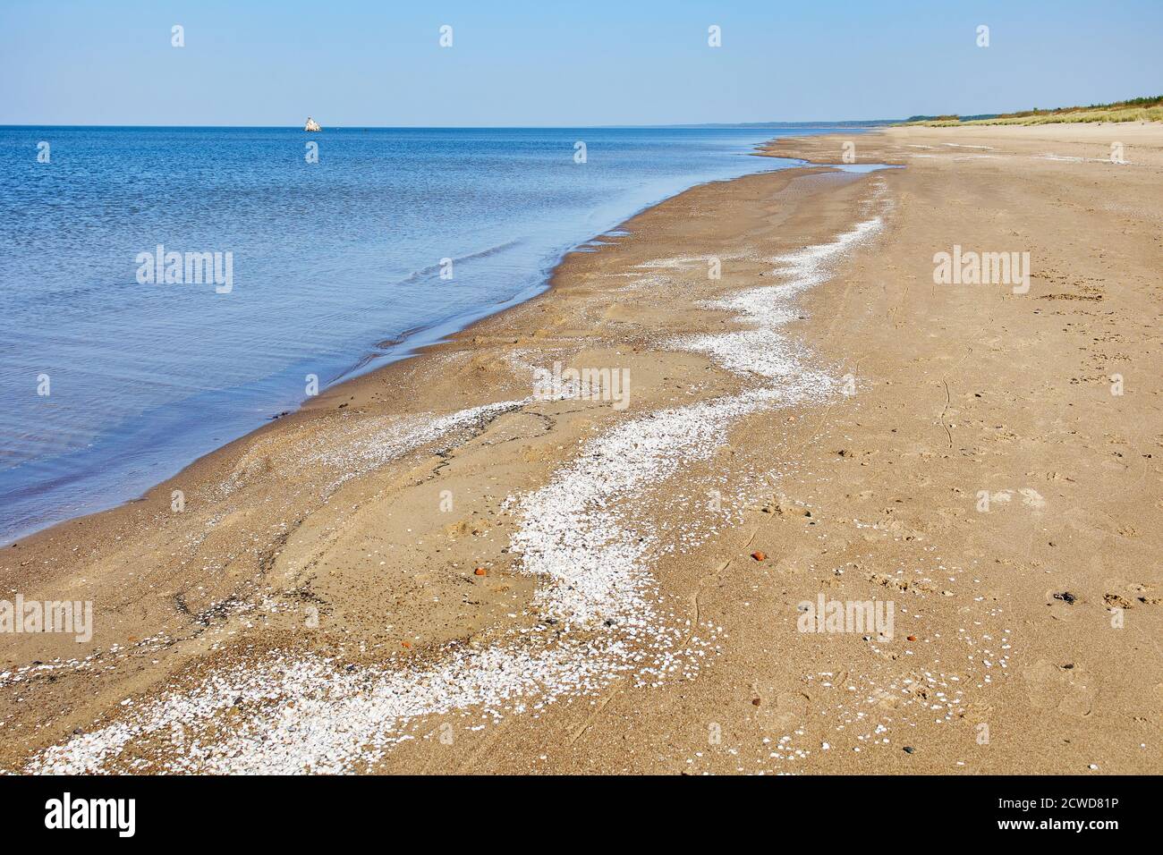 baltic sea coast with shells Stock Photo - Alamy