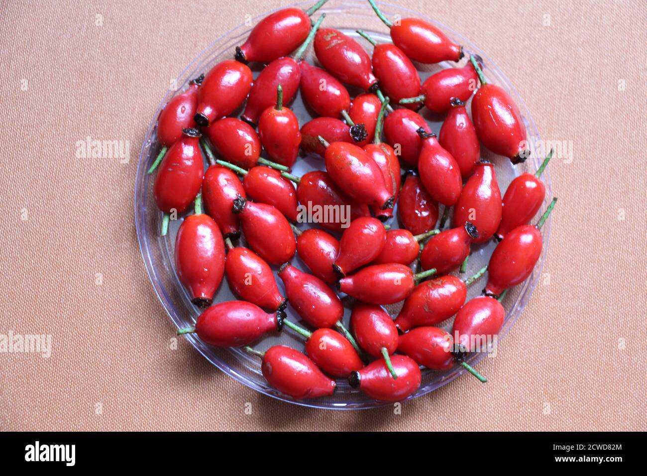These oval-shaped rosehips, which are bright red, have been picked from ...