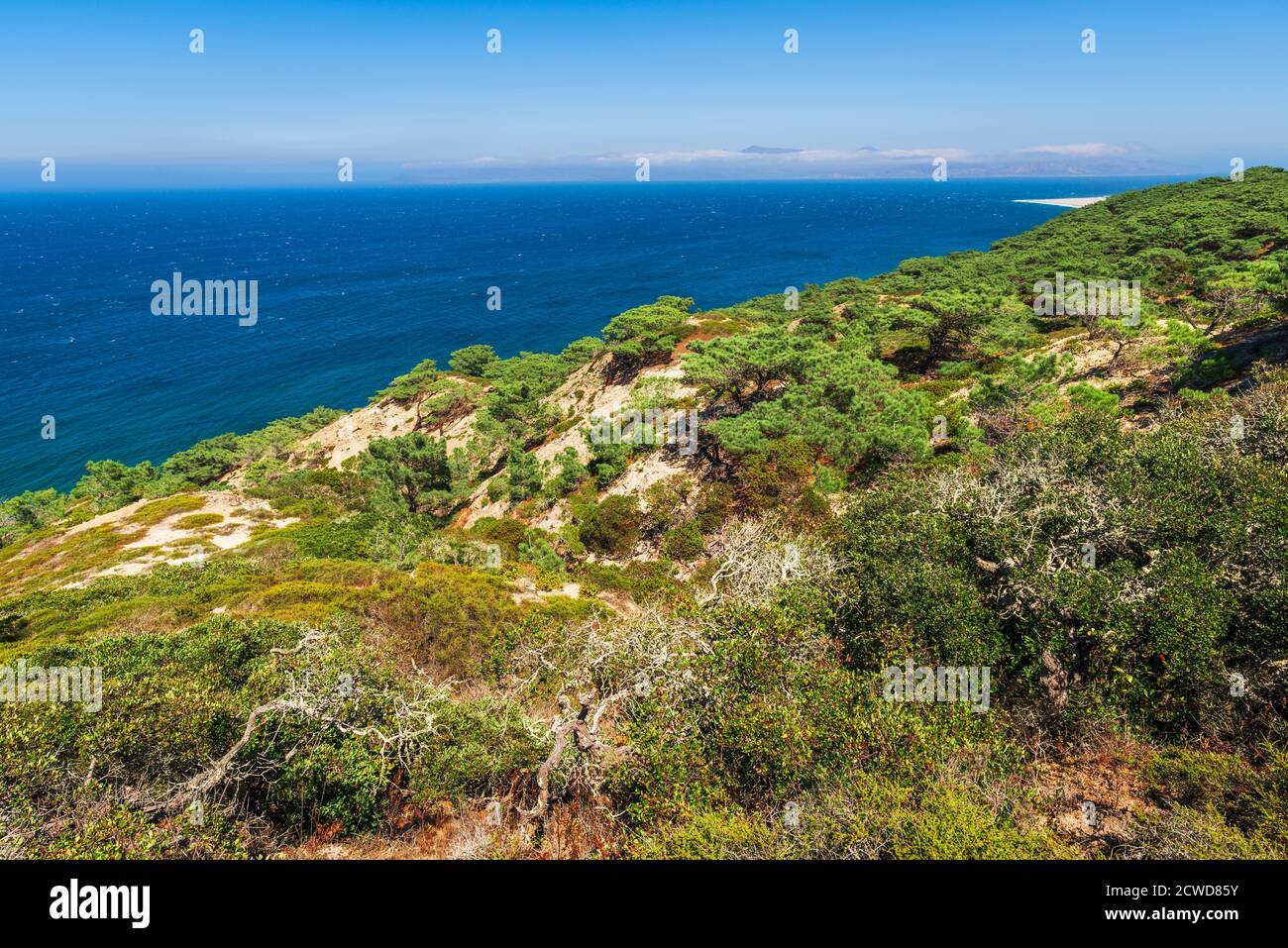 Skunk Point from the Torrey Pines Trail, Santa Rosa Island, Channel ...