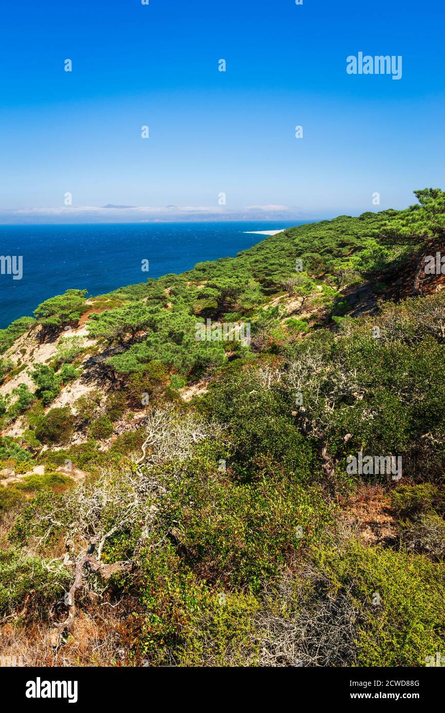 Skunk Point from the Torrey Pines Trail, Santa Rosa Island, Channel ...