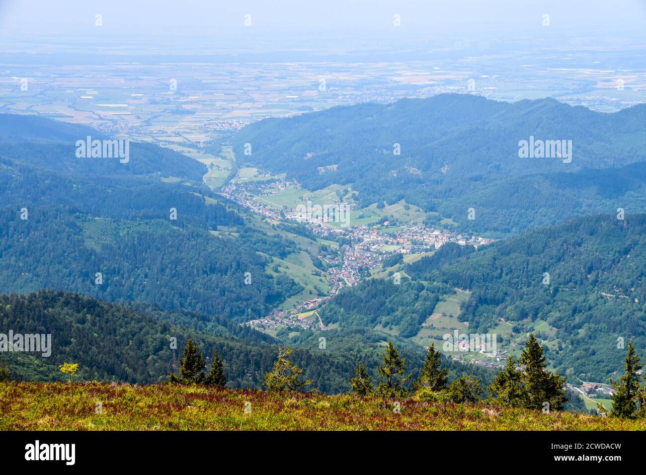 View at Munstertal from Belchen, Germany Stock Photo - Alamy