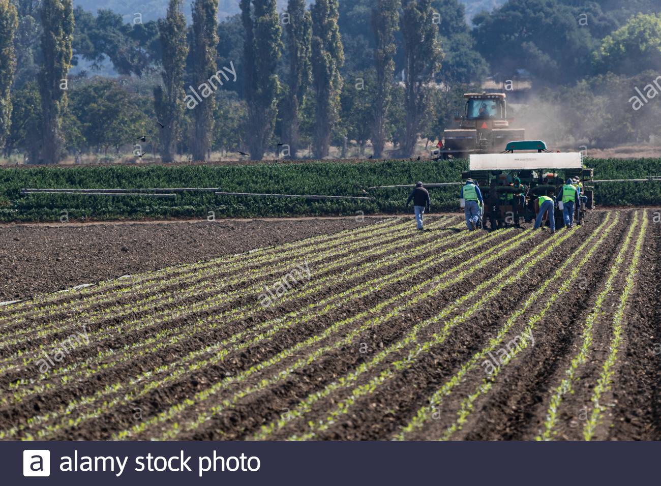 Mechanized Farming High Resolution Stock Photography and Images - Alamy