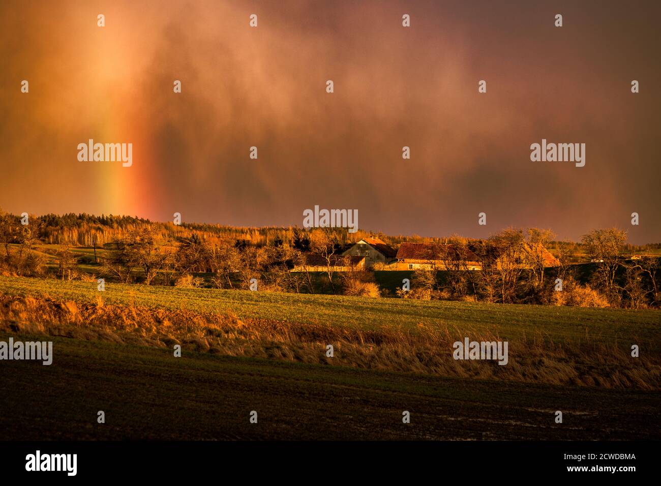 Rural poland countryside hi-res stock photography and images - Alamy