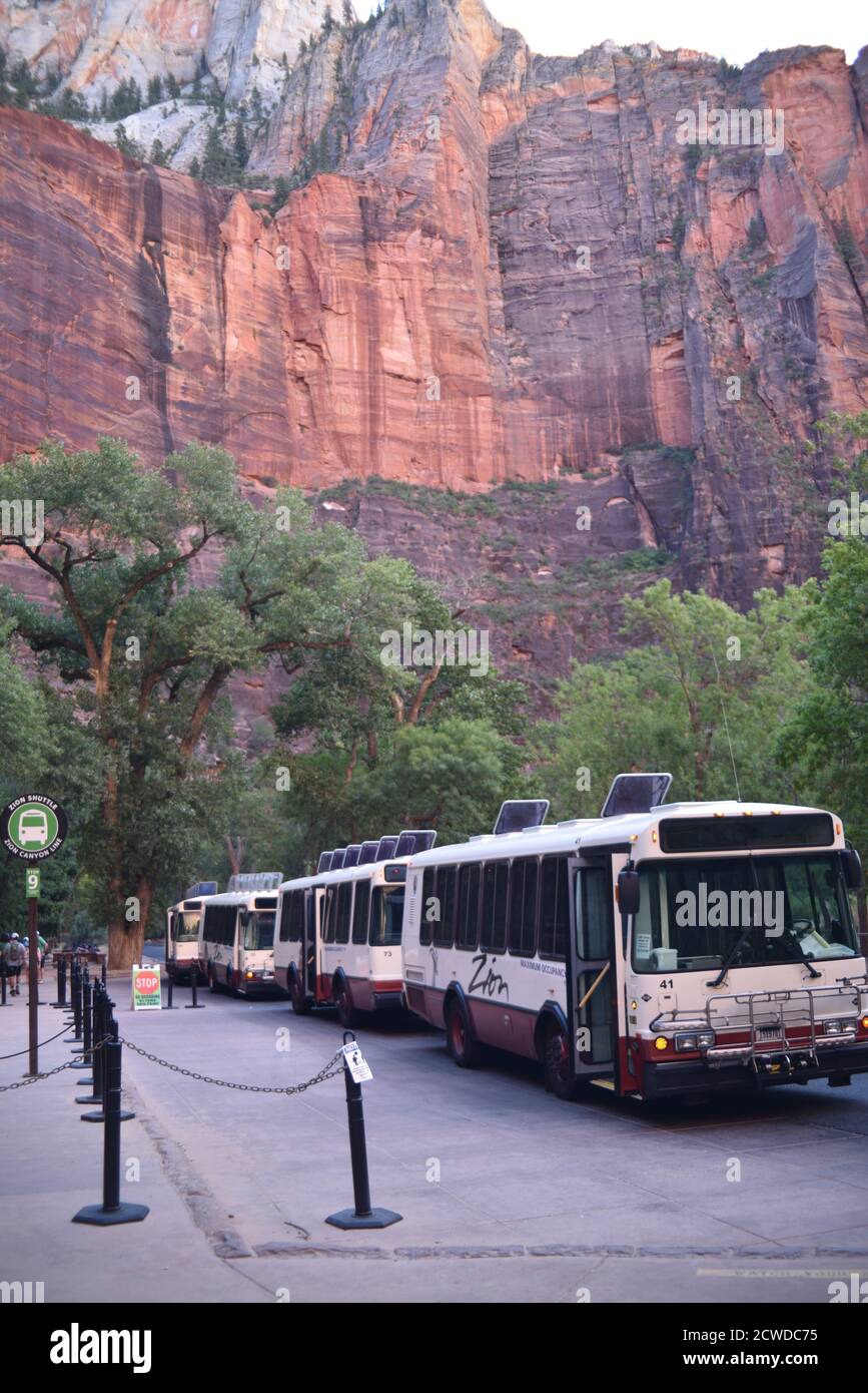 Zion national park shuttle buses hi-res stock photography and images ...