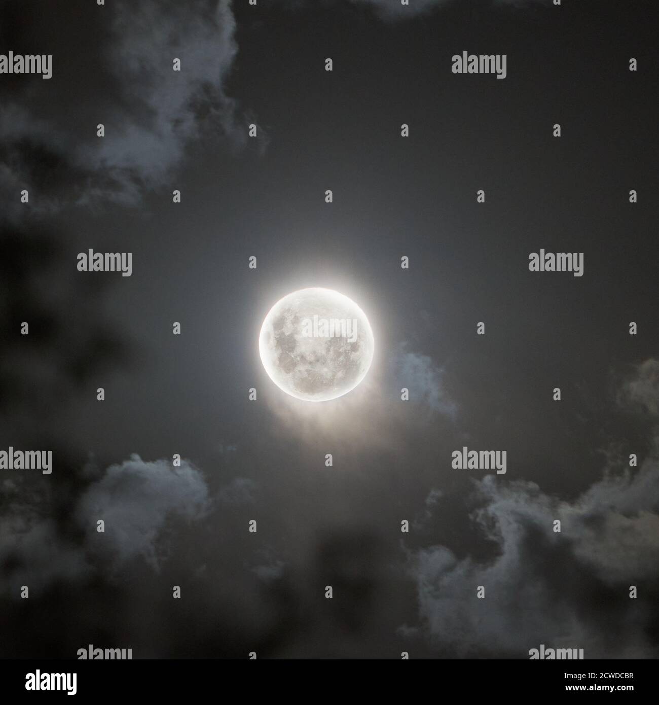 Low angle shot of the full moon on the cloudy sky at night - perfect ...