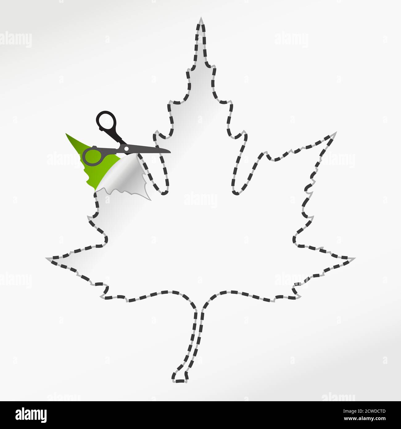 Cut leaf maple Stock Vector Images - Alamy