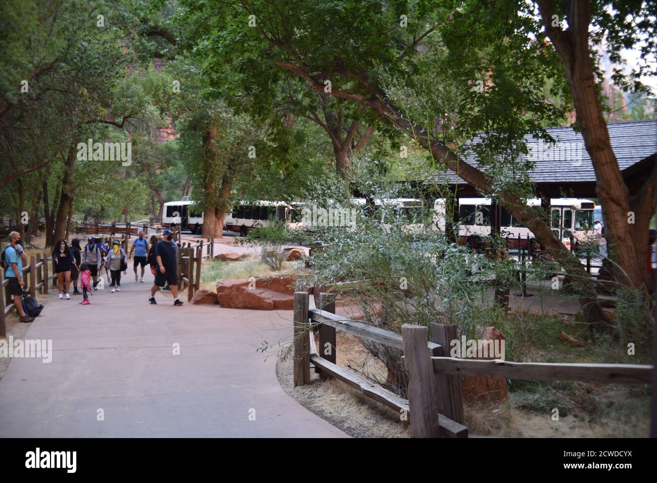 Zion national park shuttle buses hi-res stock photography and images ...