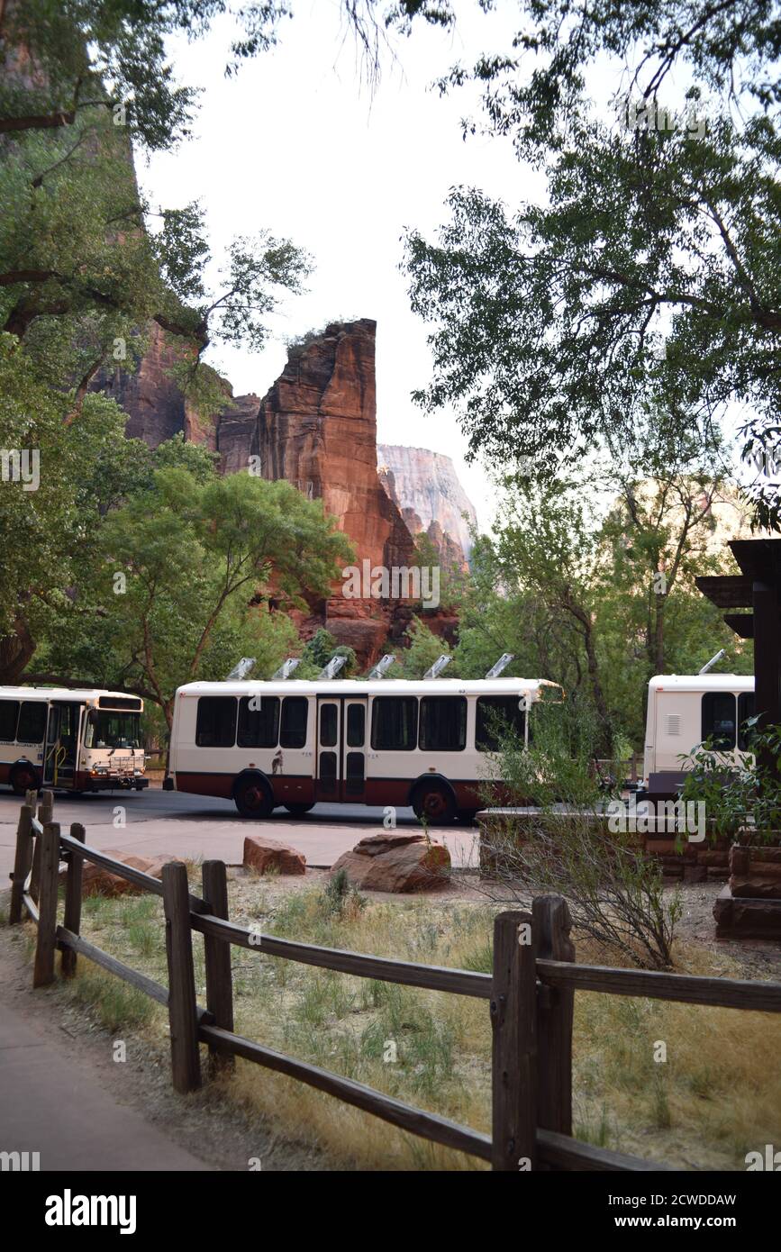 Zion national park shuttle buses hi-res stock photography and images ...