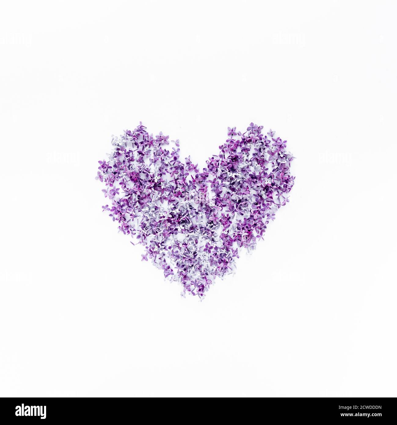 Heart symbol made of purple lilac. Valentine's day background. Flat lay ...
