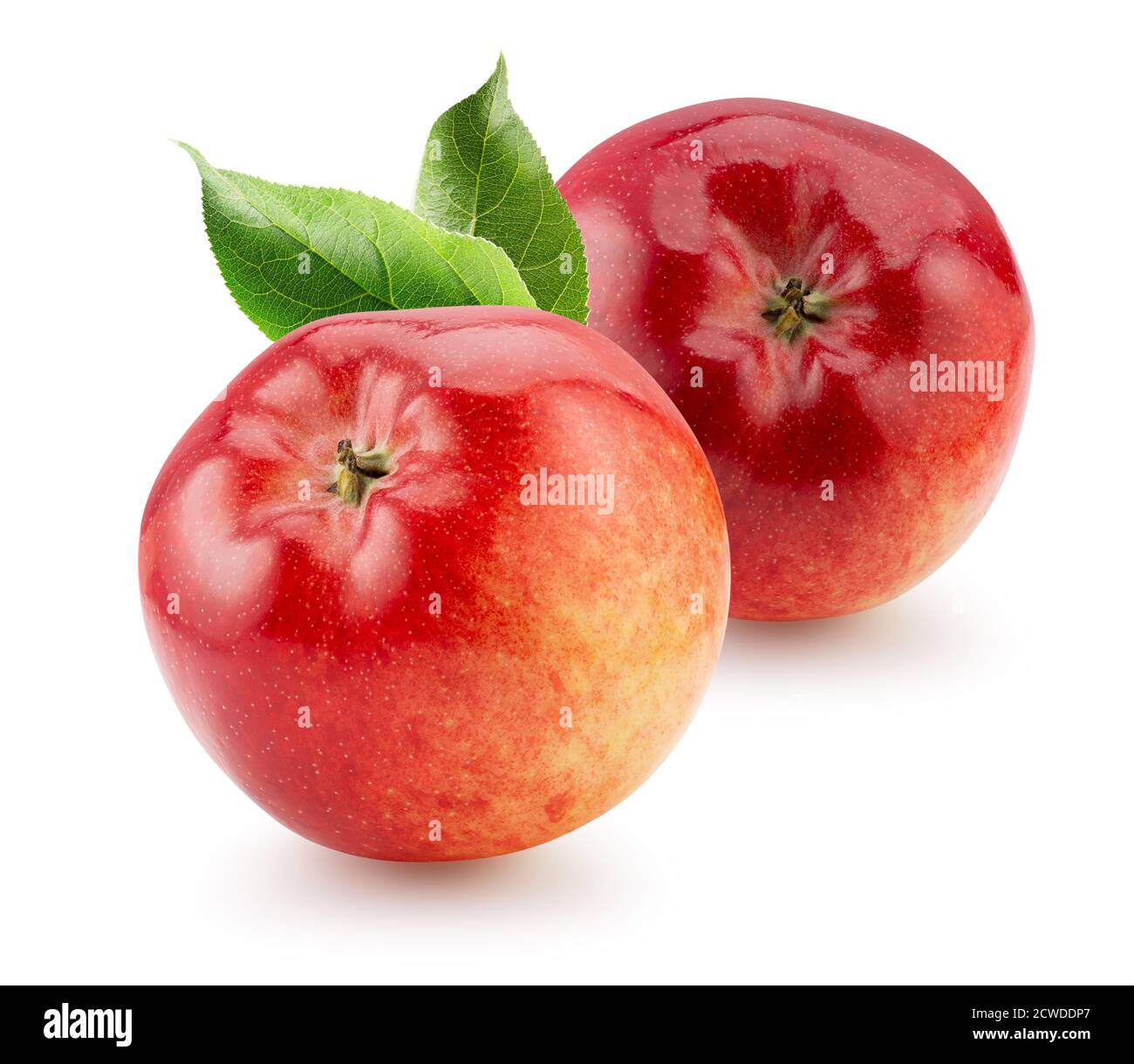 Red apples with leaves hi-res stock photography and images - Alamy
