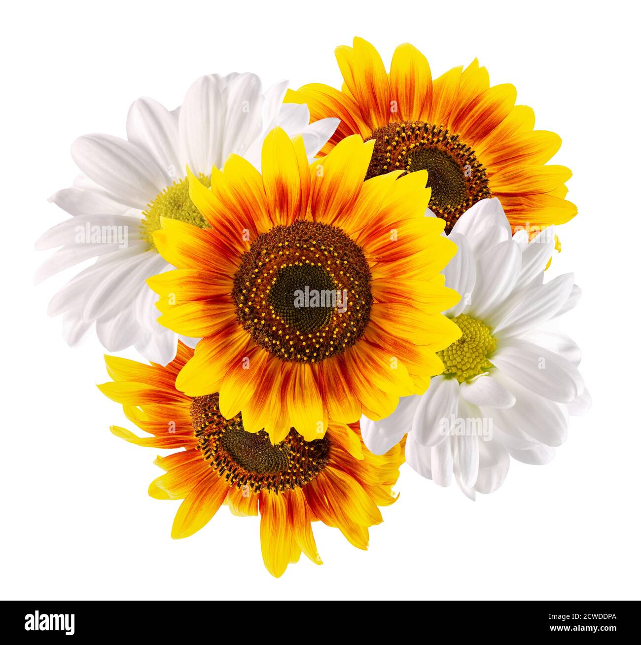 Mix of vibrant flowers hi-res stock photography and images - Alamy