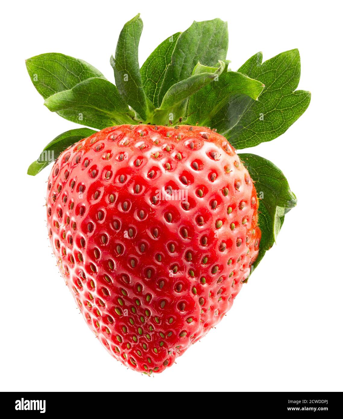 strawberry isolated on a white background Stock Photo - Alamy