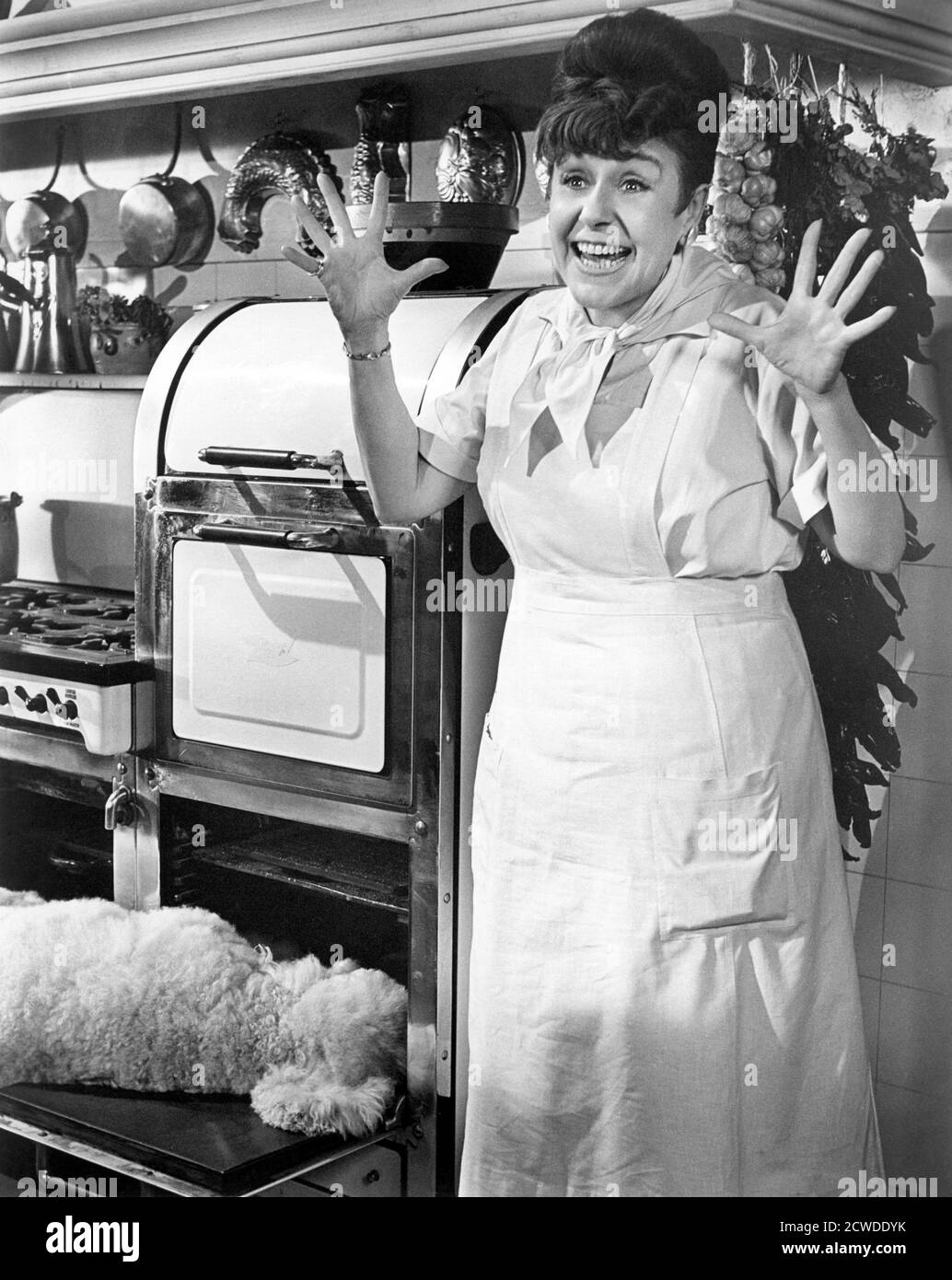 Fifi pictures hi-res stock photography and images - Alamy