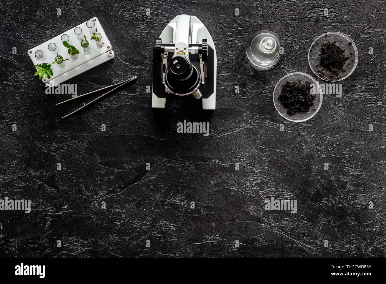 Plants with microscope in scientific laboratory. Top view Stock Photo ...