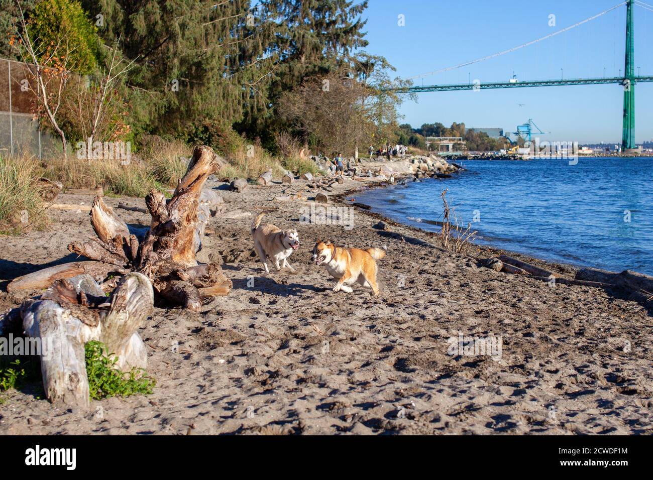 Lionsgate bridge hi-res stock photography and images - Alamy