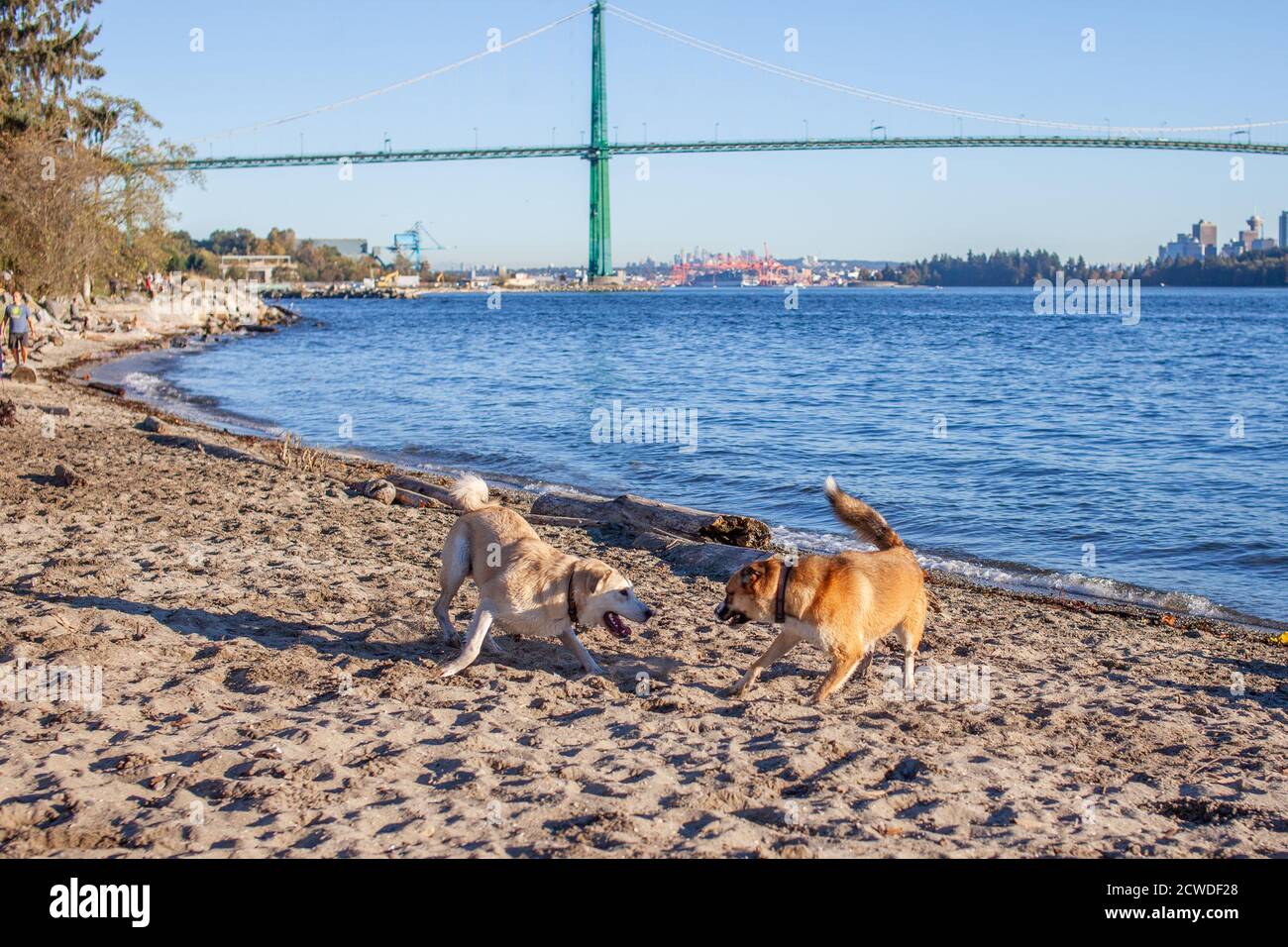 Lionsgate bridge hi-res stock photography and images - Alamy
