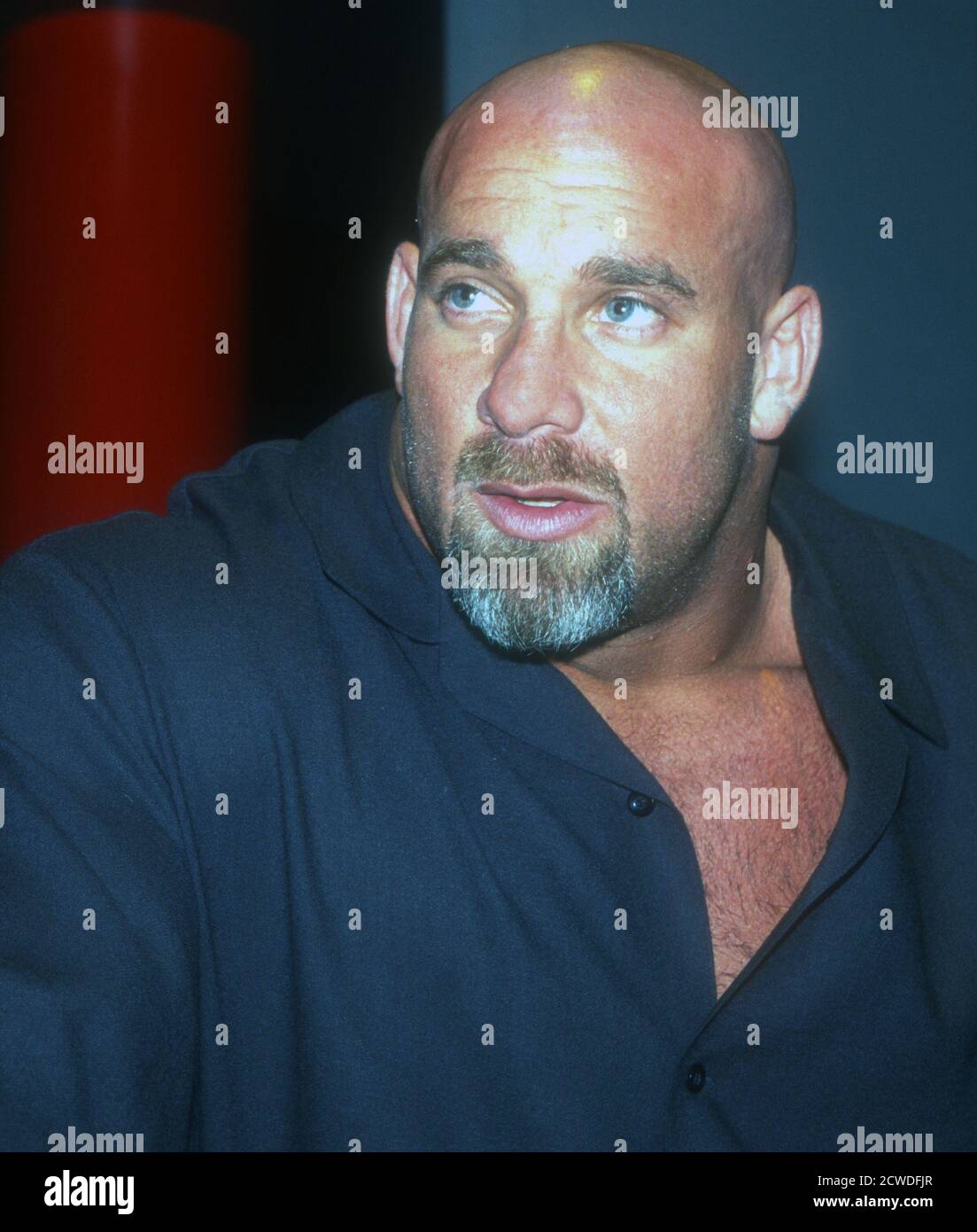Goldberg, 2000 Photo By John Barrett/PHOTOlink Stock Photo - Alamy